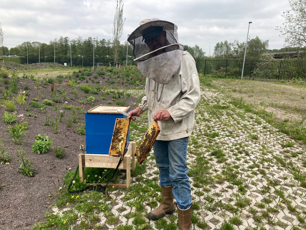 Sustainability | CyrusOne